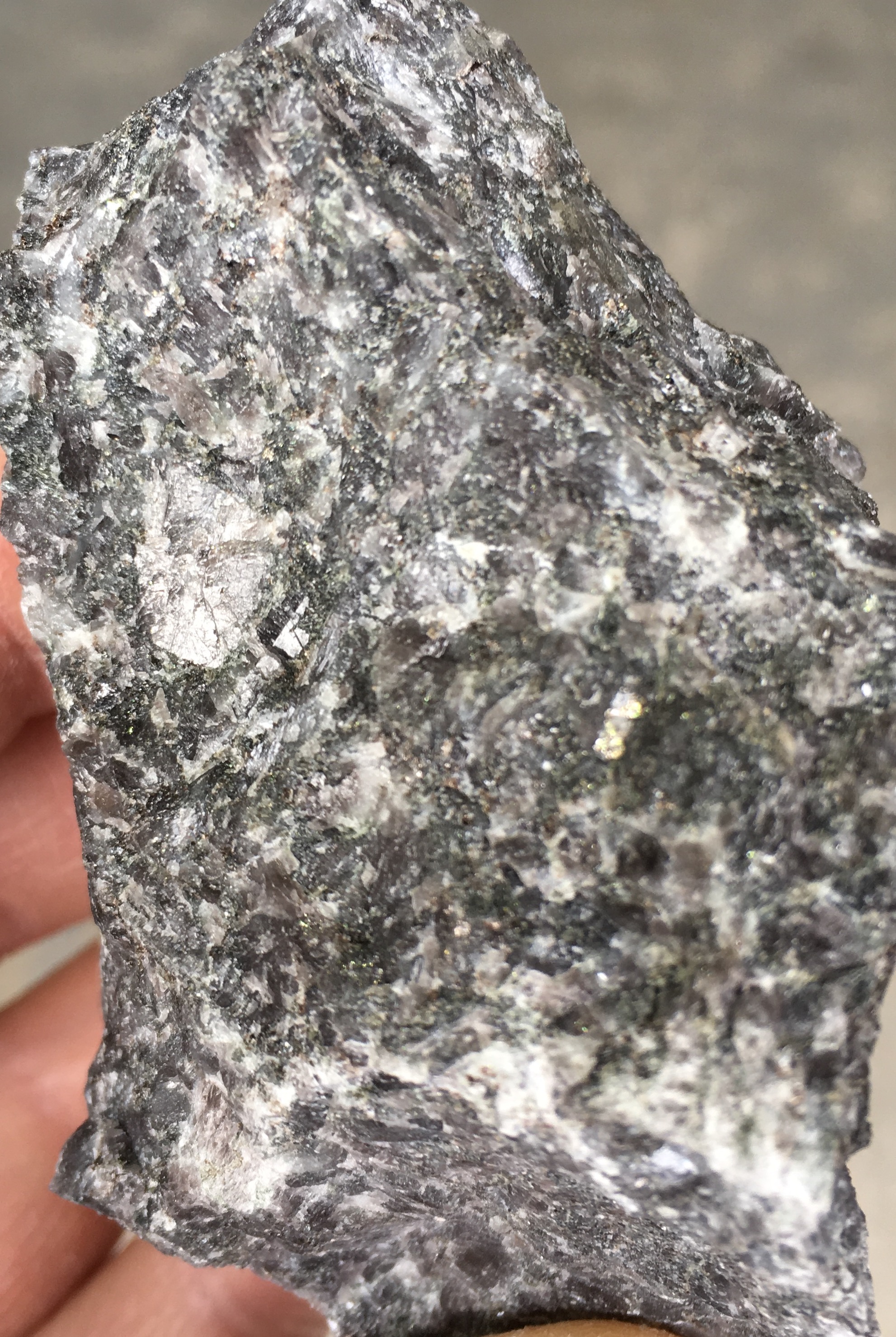 Métagabbro à hornblende