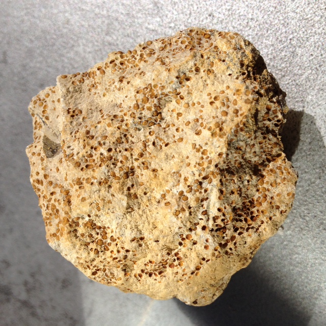 Calcaire à oolithes